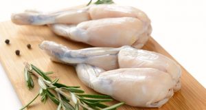 Frog Leg Anatomy: Exploring Remarkable Jumps