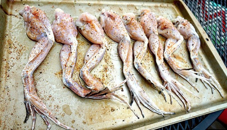 Frog Gigging 101: How To Gig Frogs As A Beginner?