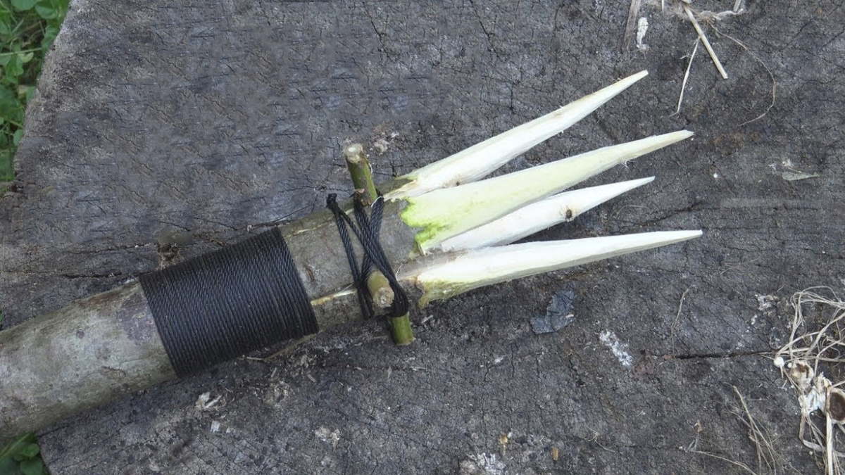 How To Make A DIY Frog Gig? – (Step By Step)