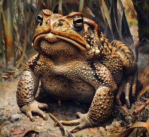 Where Do Toads Go In The Winter: Tracking Techniques & Ecological Insights